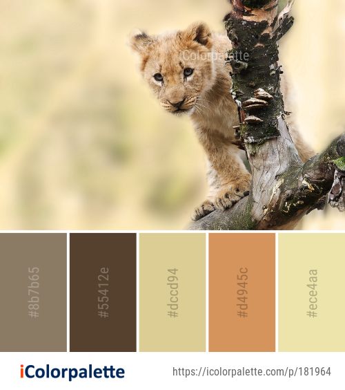 Color Palette Ideas from Wildlife Terrestrial Animal Fauna Image ...