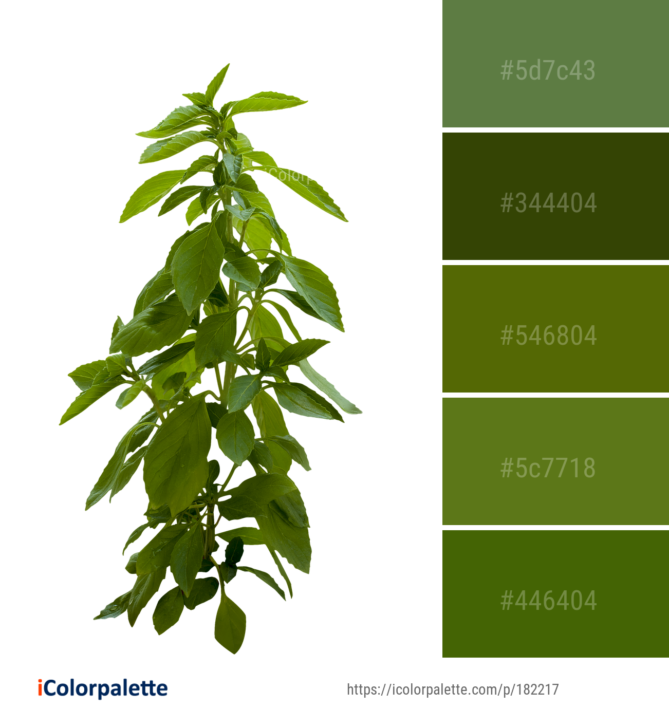 Color Palette Ideas from Plant Leaf Tree Image | iColorpalette