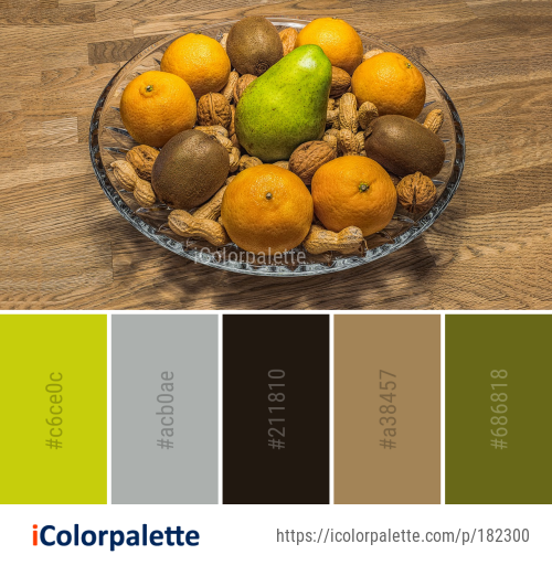 15+ Tangerine Color Palette ideas in 2025 | iColorPalette