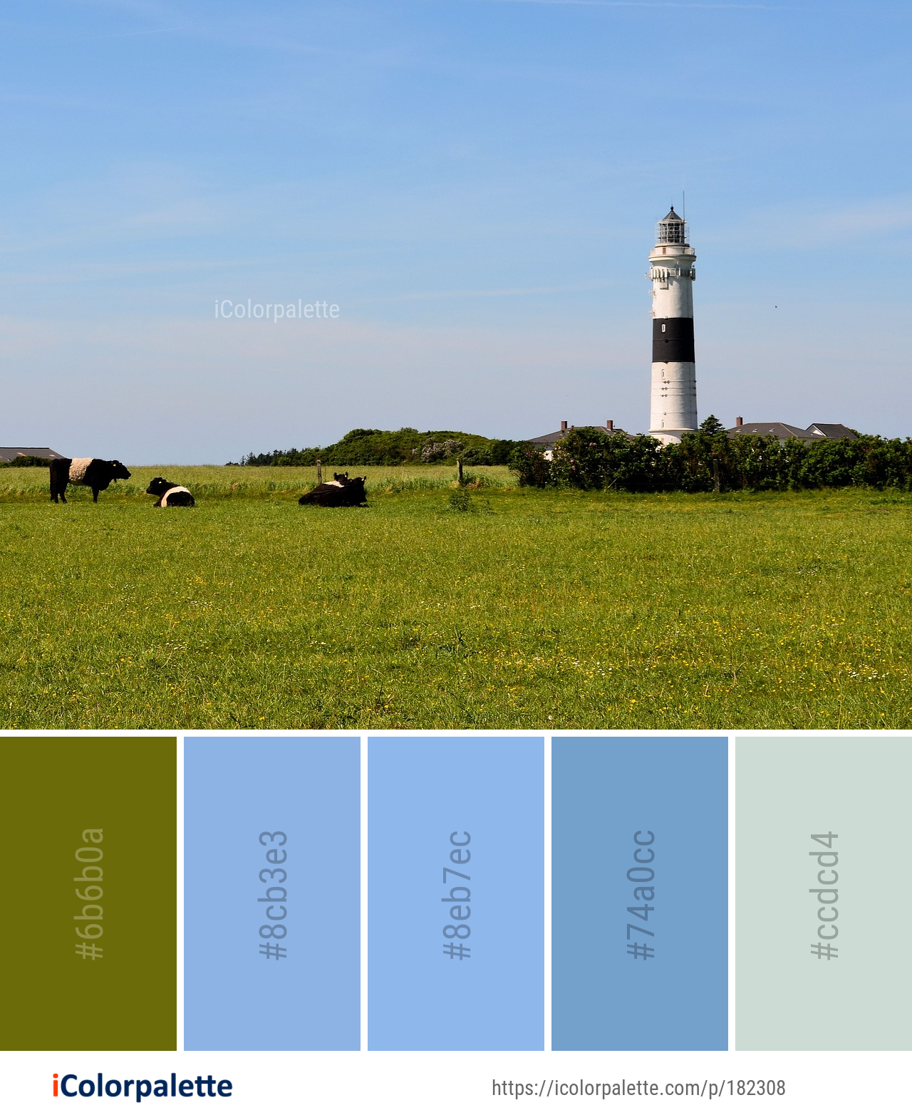 Color Palette Ideas from Grassland Sky Field Image | iColorpalette