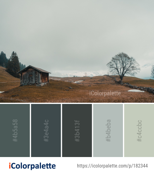 Color Palette Ideas from Sky Cloud Tree Image | iColorpalette