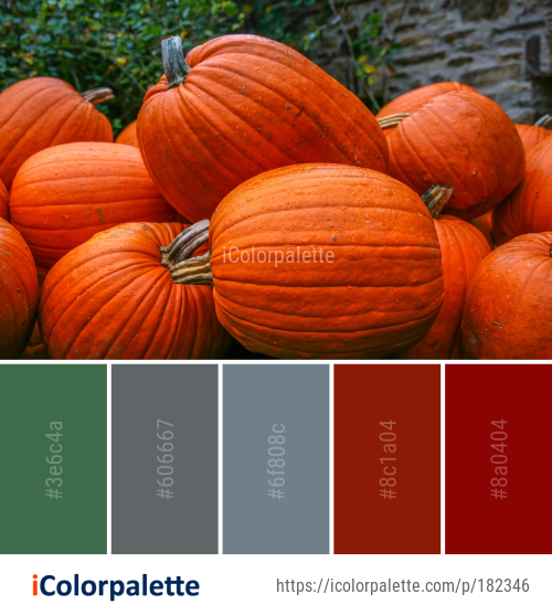 20+ Pumpkin Color Palette ideas in 2025 | iColorPalette