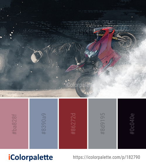 14+ Motorcycle Color Palette ideas in 2025 | iColorPalette