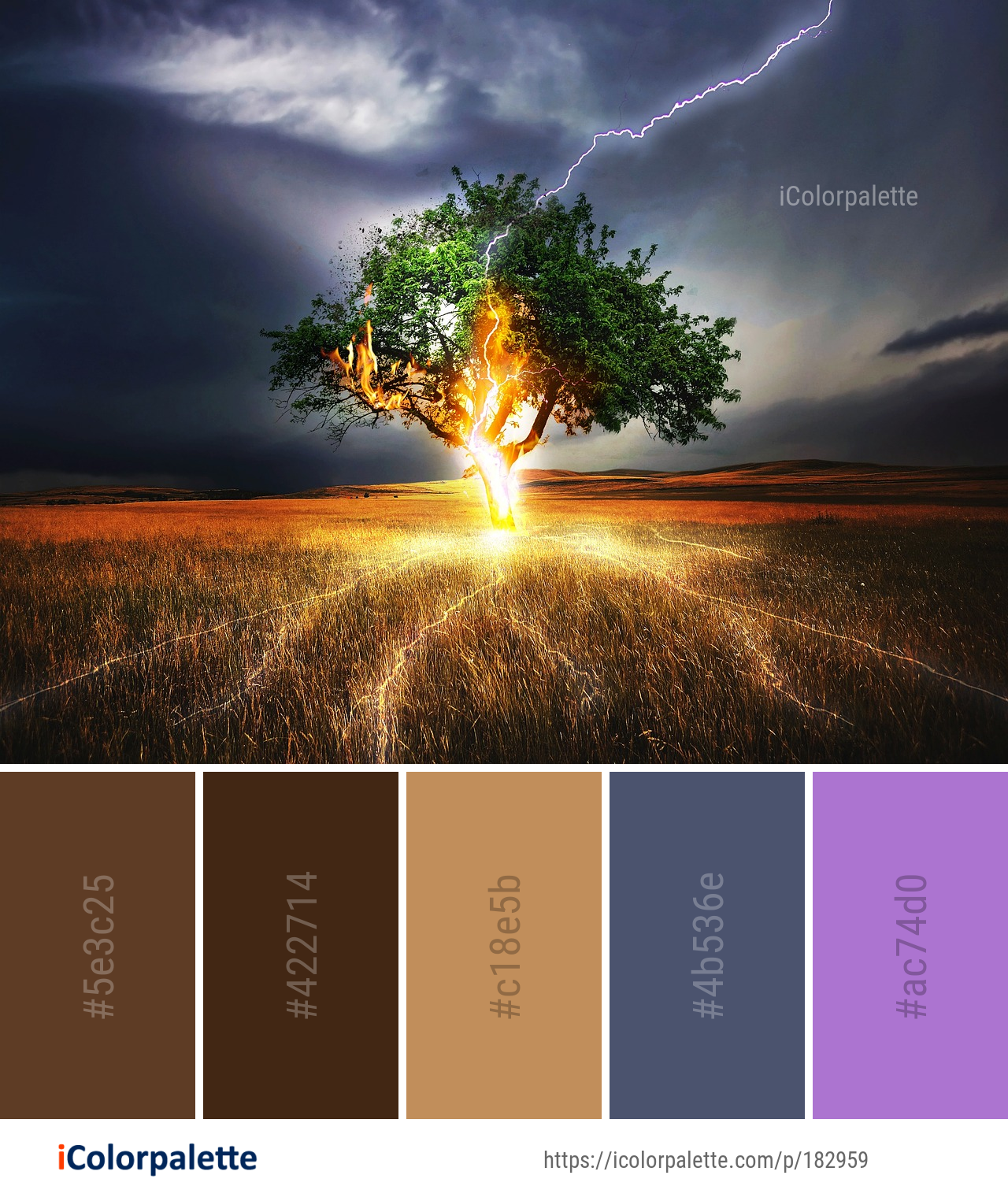 Color Palette Ideas from Nature Sky Atmosphere Image | iColorpalette