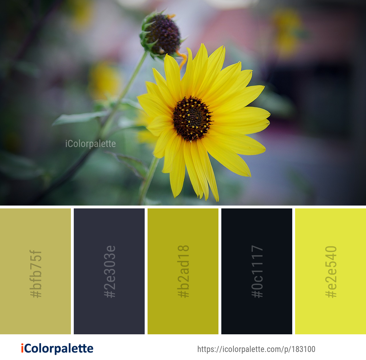 Color Palette Ideas from Flower Yellow Flora Image | iColorpalette