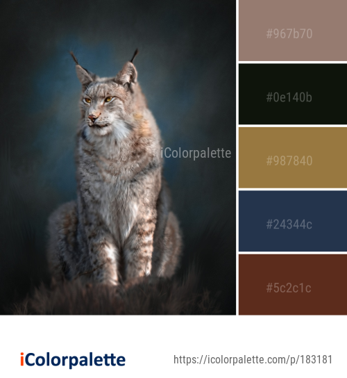 Color Palette Ideas from Wildlife Lynx Mammal Image | iColorpalette
