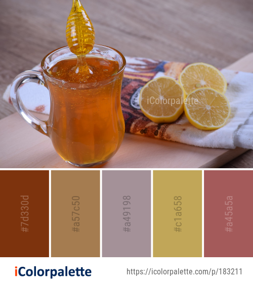 Color Palette Ideas from Drink Grog Wassail Image | iColorpalette