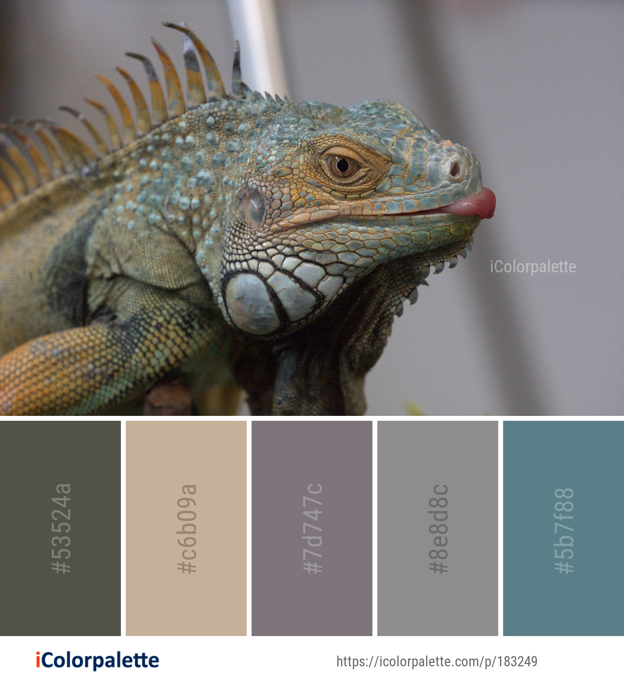 Color Palette Ideas from Reptile Iguana Scaled Image | iColorpalette