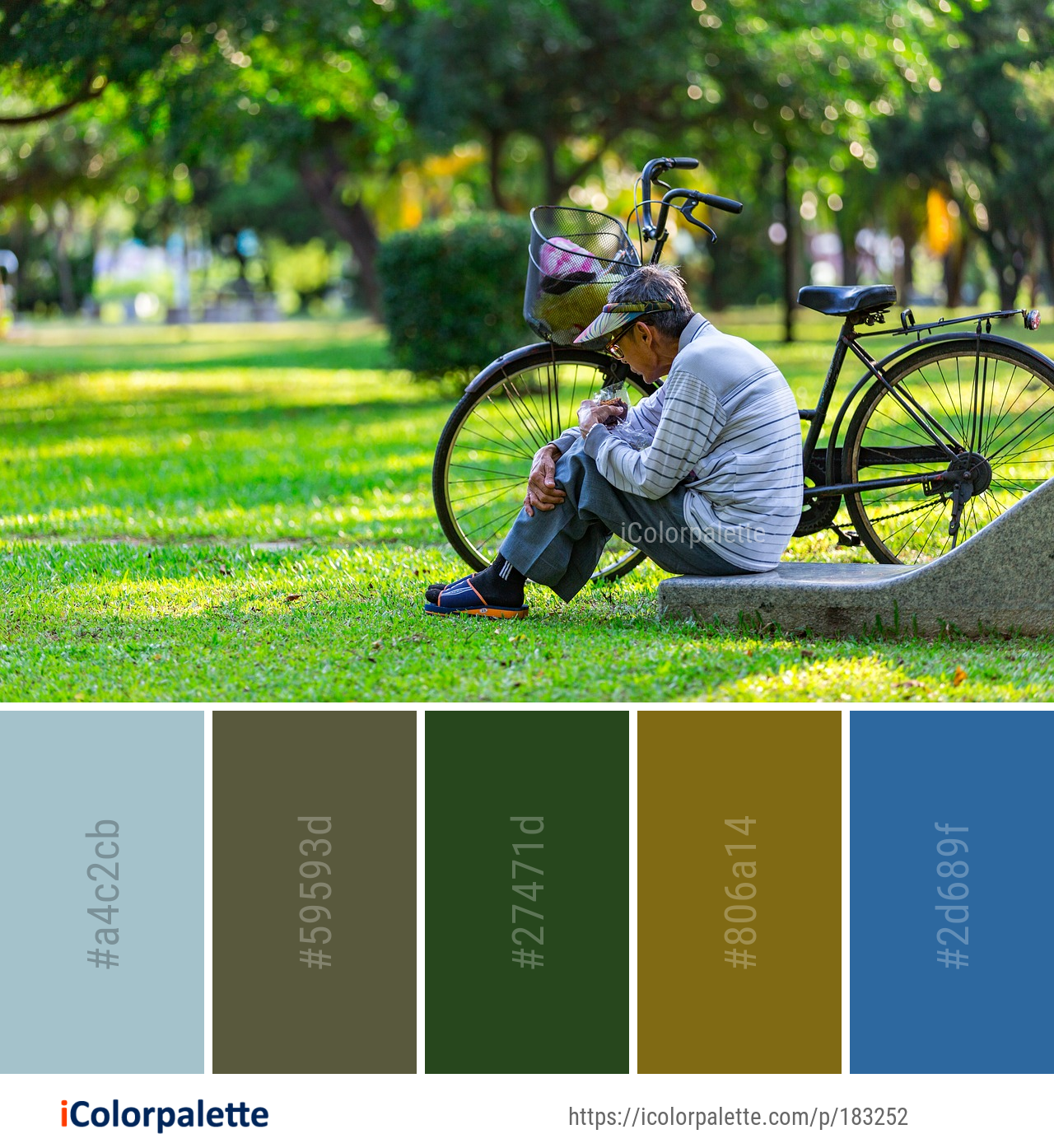 53+ Bicycle Color Palette ideas in 2025 | iColorPalette