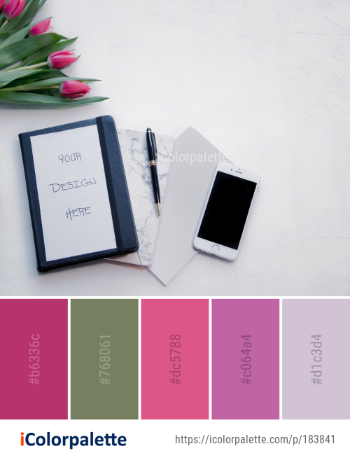 17+ Gadget Color Palette ideas in 2025 | iColorPalette