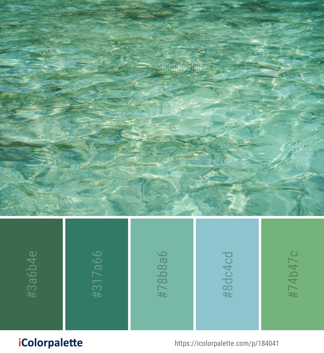 Color Palette Ideas from Water Sea Aqua Image | iColorpalette