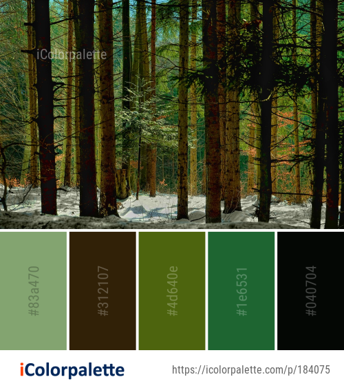 Color Palette Ideas from Nature Tree Ecosystem Image | iColorpalette