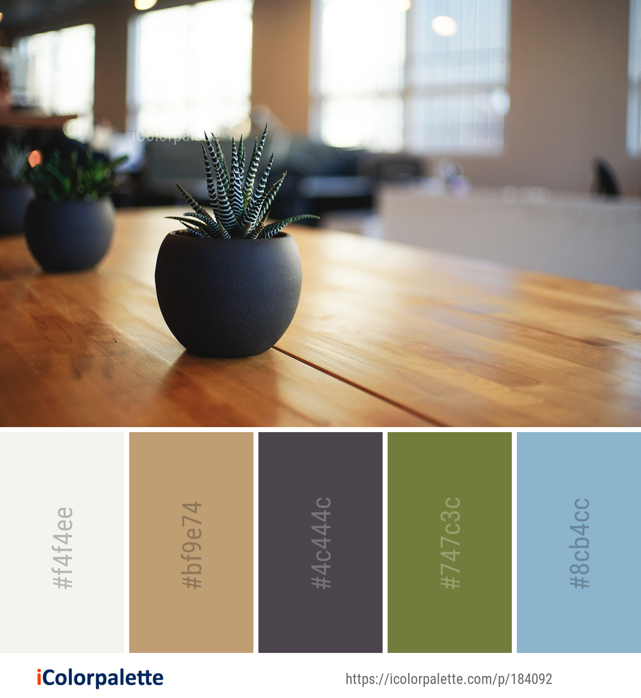 Color Palette Ideas from Room Table Flooring Image | iColorpalette