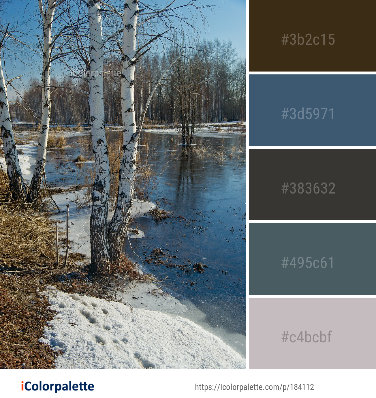 20+ Birch Color Palette ideas in 2025 | iColorPalette