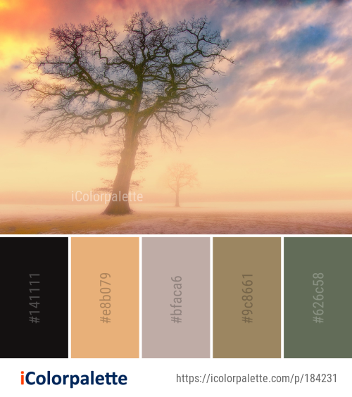 Color Palette Ideas from Sky Tree Woody Plant Image | iColorpalette