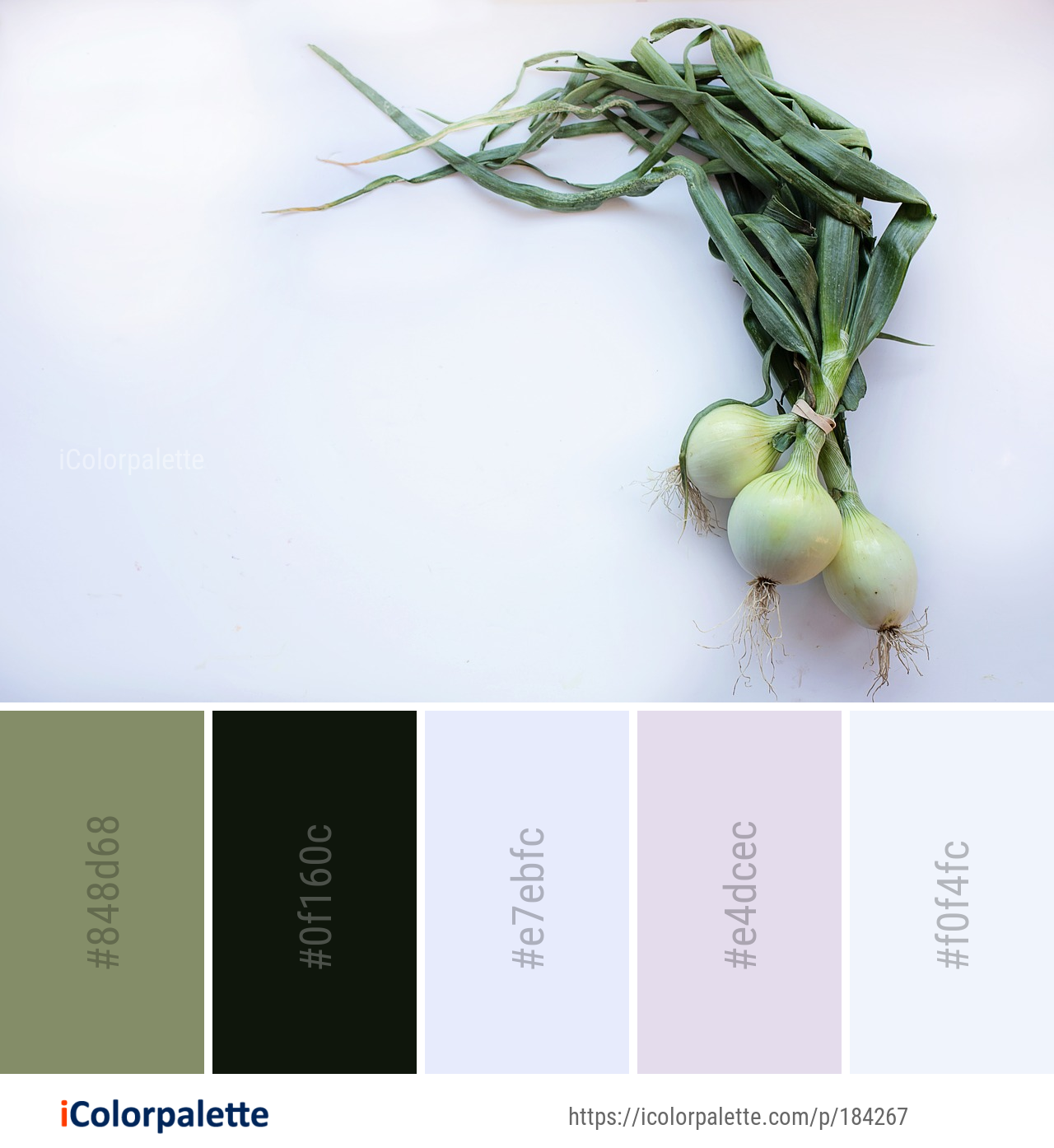 Color Palette Ideas from Vegetable Produce Food Image | iColorpalette