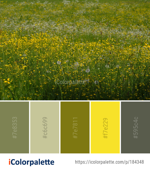 Color Palette Ideas from Grassland Ecosystem Meadow Image | iColorPalette