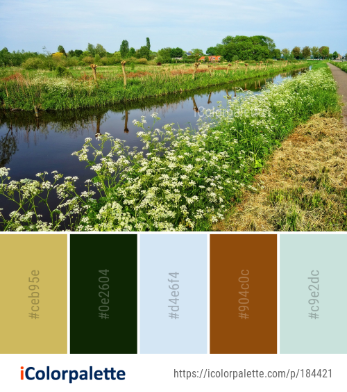 Color Palette Ideas from Waterway Vegetation Nature Reserve Image ...
