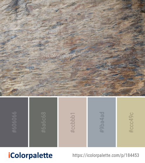 Color Palette Ideas from Rock Bedrock Geology Image | iColorpalette