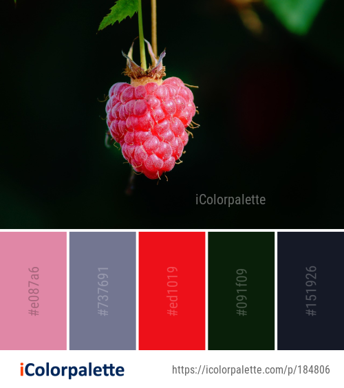Raspberry Color Palette Color Inspiration: Summer Berry Picking