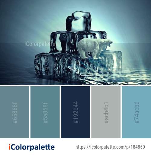 Color Palette Ideas from Water Ice Reflection Image | iColorpalette