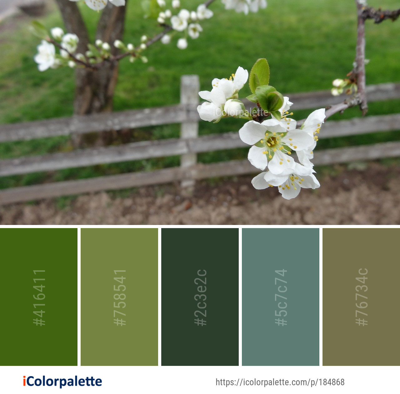 Color Palette Ideas from Flower Spring Plant Image | iColorpalette