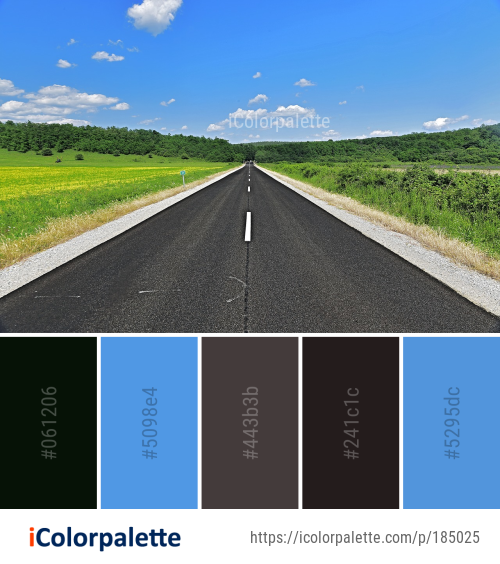 Color Palette Ideas from Road Sky Grassland Image | iColorpalette