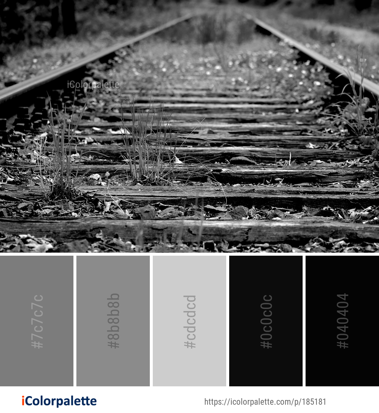 Color Palette Ideas from Track Black And White Monochrome Photography ...