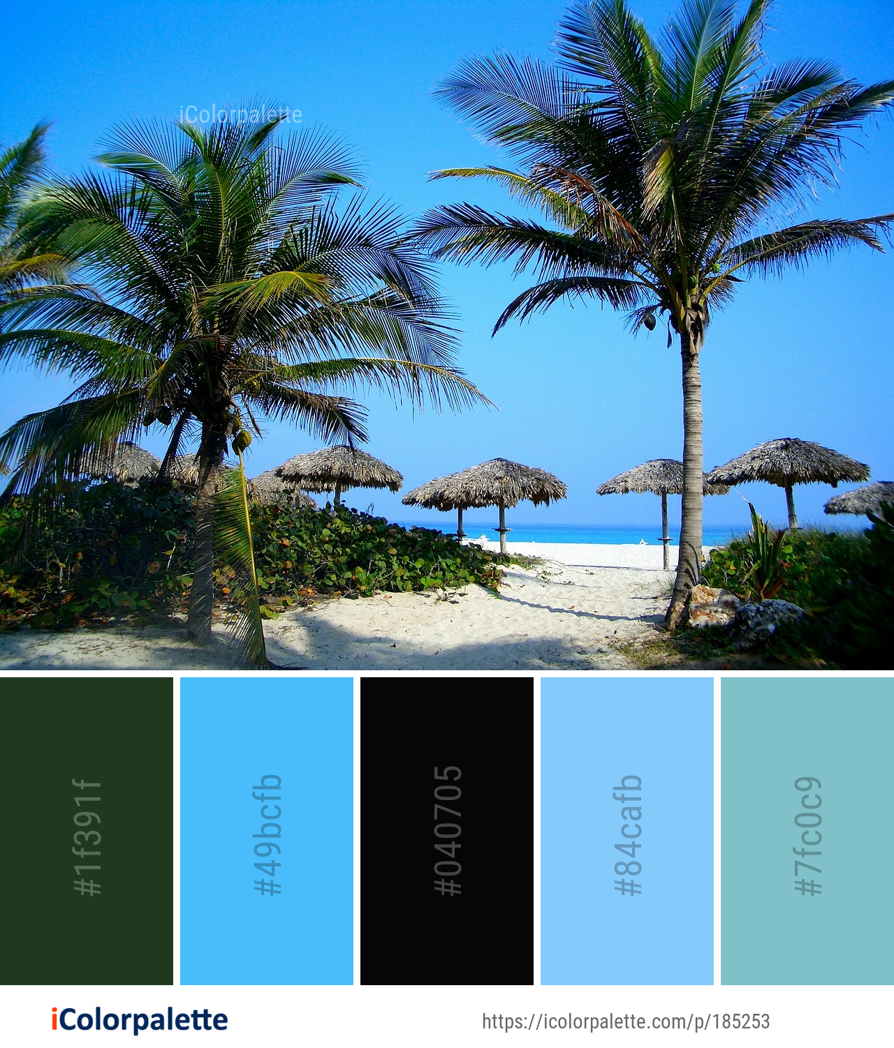 Color Palette Ideas from Tropics Sky Tree Image | iColorpalette Color Palette Ideas from Tropics Sky Tree Image | iColorpalette