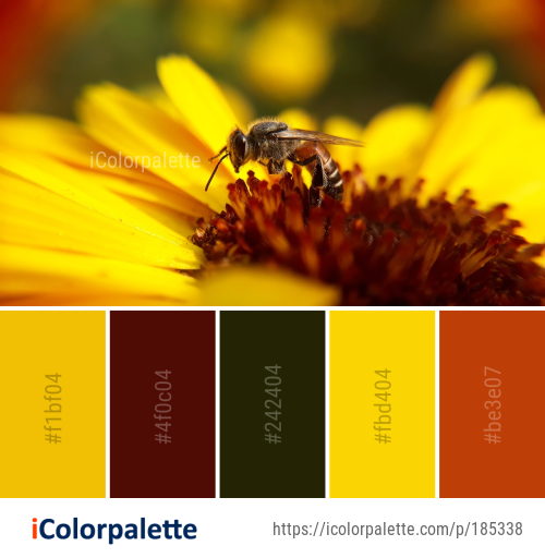 Color Palette Ideas from Honey Bee Yellow Image | iColorpalette
