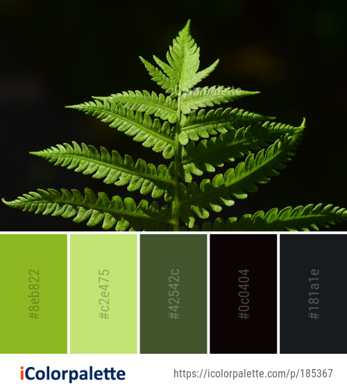 Color Palette Ideas from Plant Leaf Vegetation Image | iColorpalette