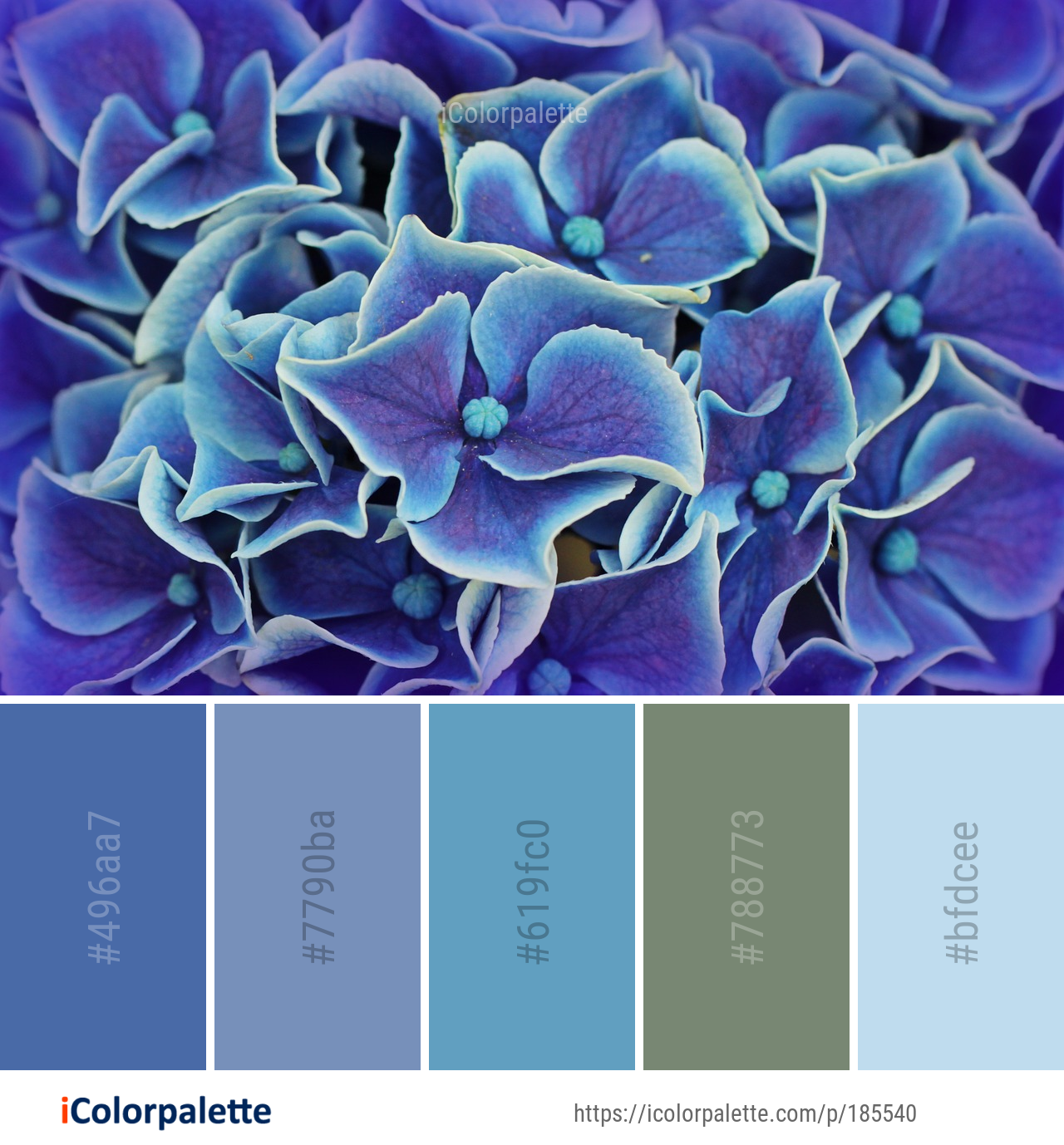 27+ Electric Blue Color Palette ideas in 2026 | iColorPalette