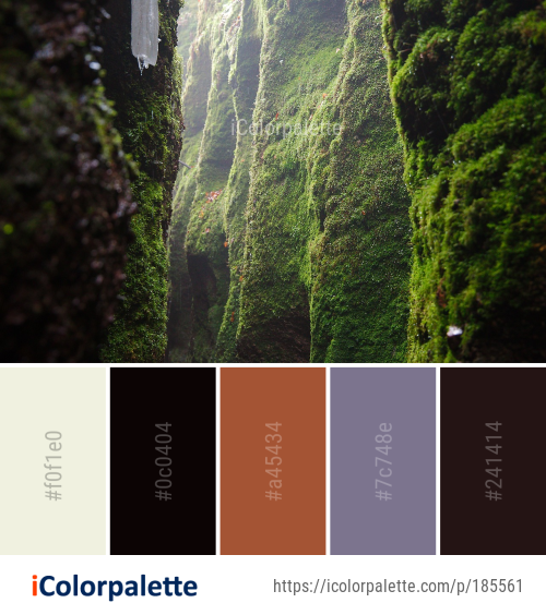 71+ Rainforest Color Palette ideas in 2026 | iColorPalette