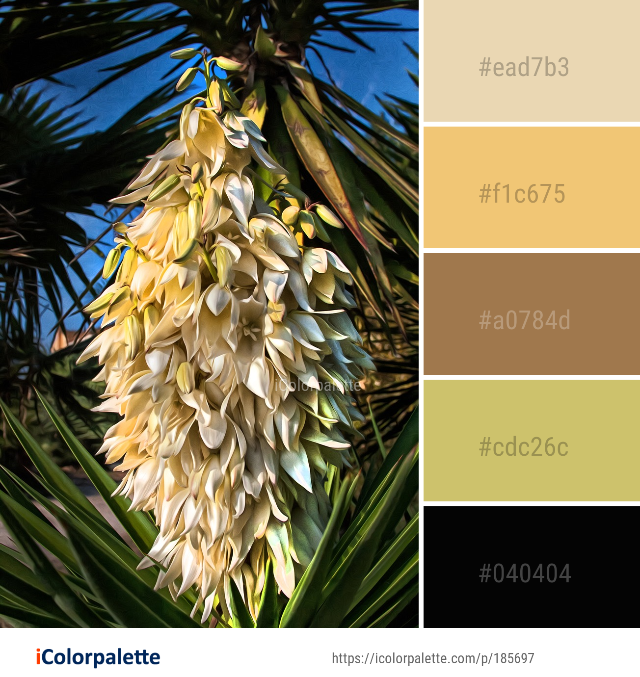 Color Palette Ideas from Flower Plant Flora Image | iColorpalette