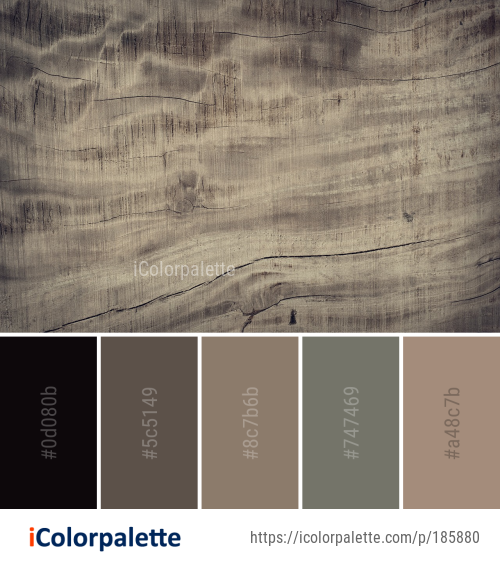 Color Palette Ideas from Black And White Wood Tree Image | iColorpalette