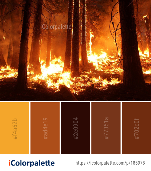 Color Palette Ideas from Fire Wildfire Forest Image | iColorpalette