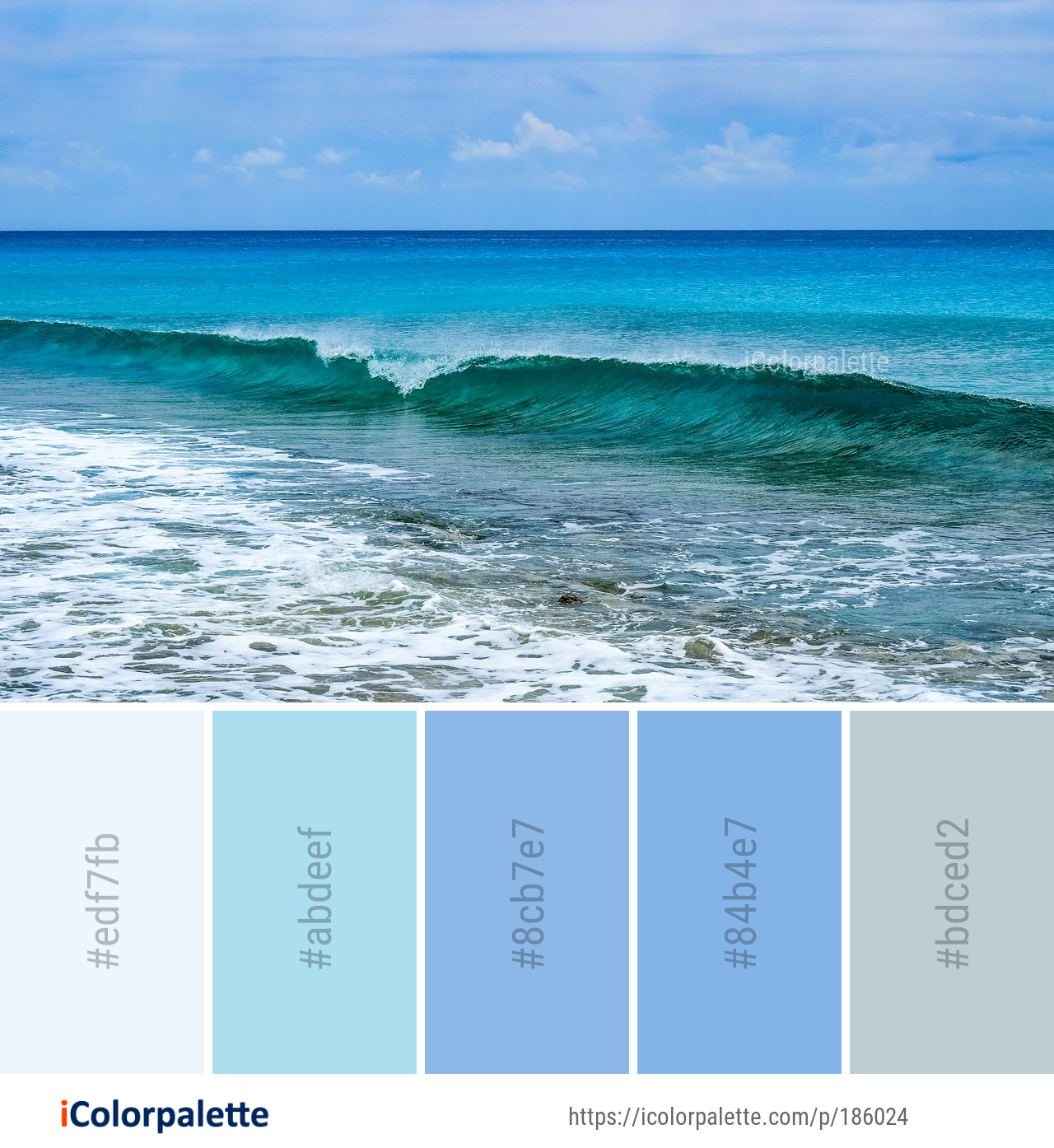 Color Palette Ideas from Sea Ocean Wave Image | iColorpalette