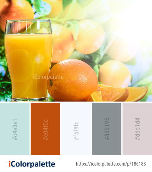 Color Palette Ideas from Juice Orange Citric Acid Image | iColorpalette