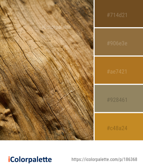 Color Palette Ideas from Wood Stain Hardwood Image | iColorpalette