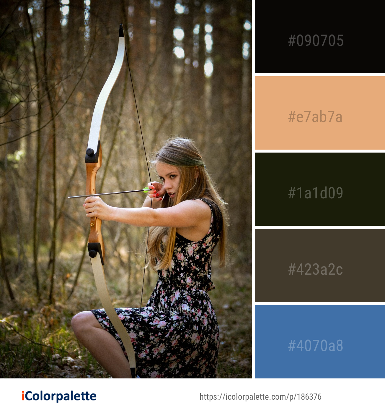 Color Palette Ideas from Nature Bow And Arrow Tree Image | iColorpalette