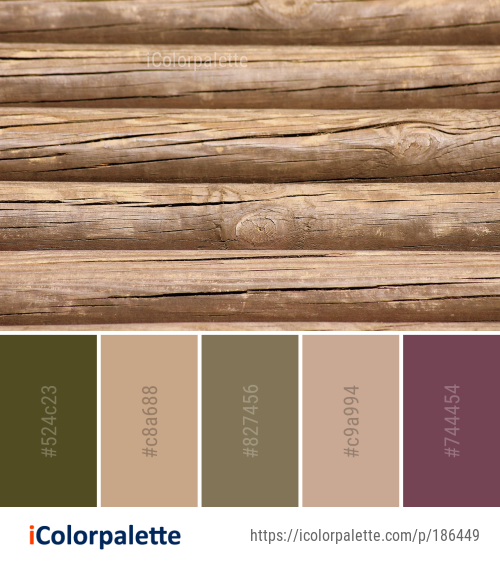Color Palette Ideas from Wood Lumber Stain Image | iColorpalette