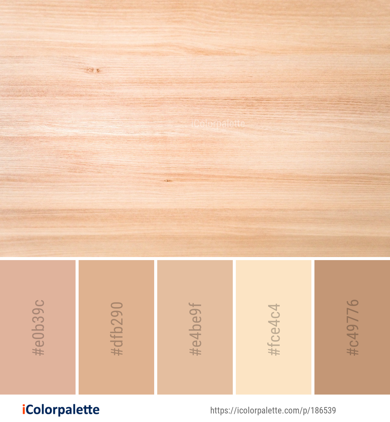Color Palette Ideas from Wood Flooring Stain Image | iColorpalette