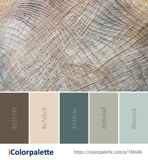 Color Palette Ideas from Wood Tree Line Image | iColorpalette