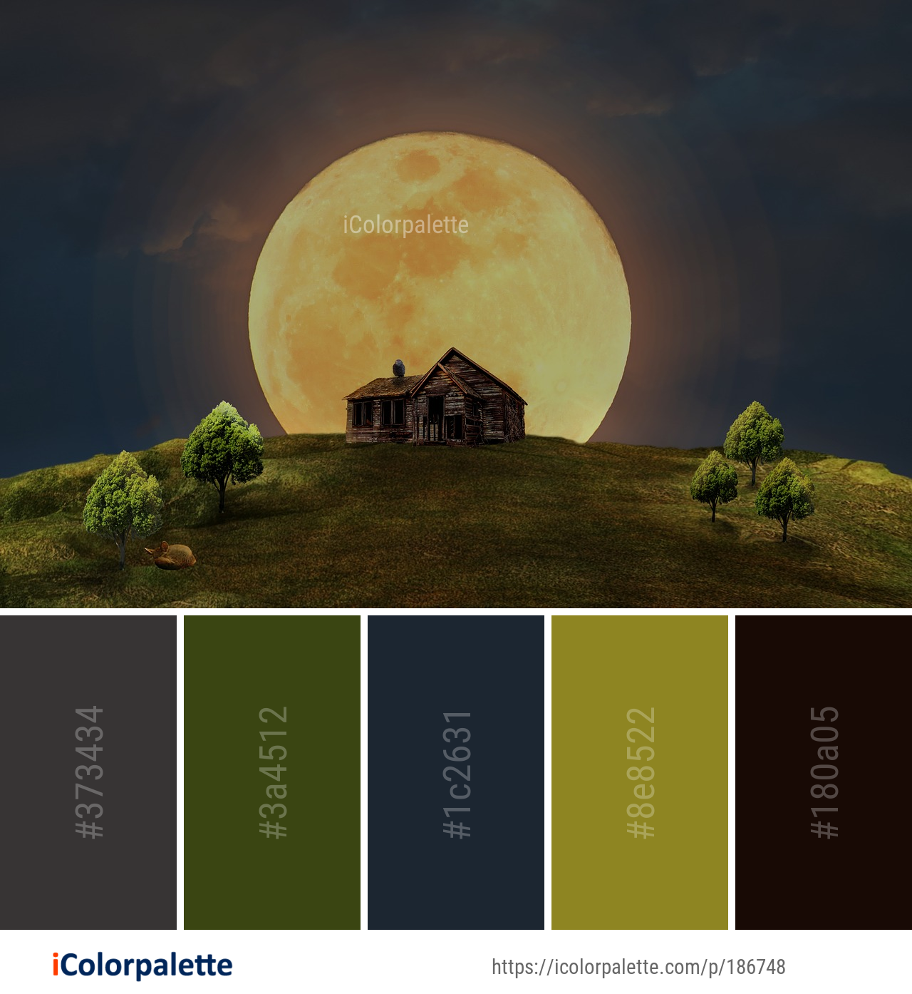 30 Full Moon Color Palette ideas in 2025 | iColorpalette