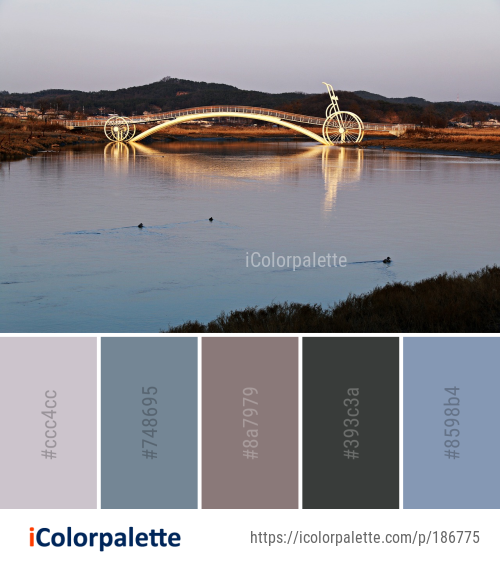 Color Palette Ideas from Bridge Reflection Water Image | iColorpalette