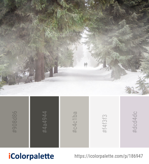 Color Palette Ideas from Snow Winter Tree Image | iColorPalette