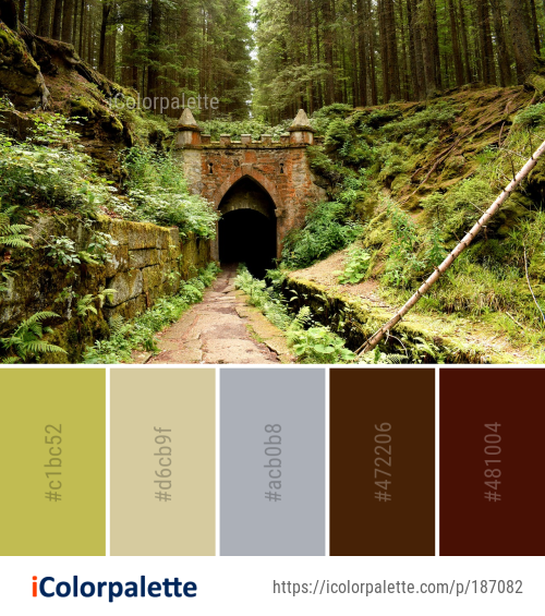 8+ Tunnel Color Palette ideas in 2026 | iColorPalette