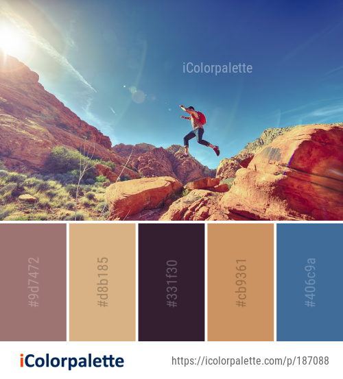 136 Adventure Color Palette ideas in 2025 | iColorpalette