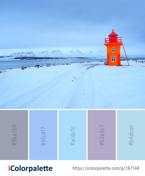Color Palette Ideas from Snow Winter Sky Image | iColorPalette