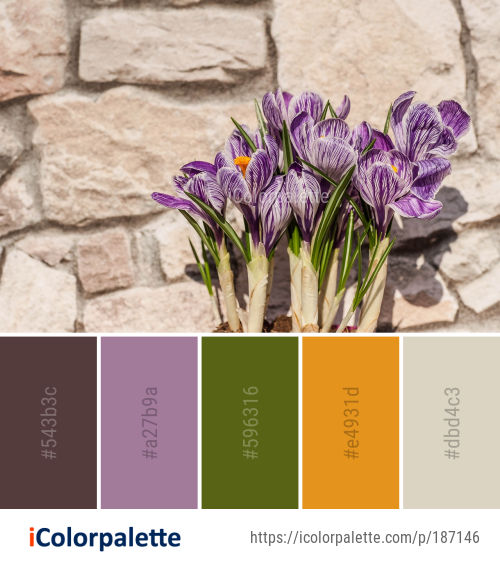 8 Saffron Color Palette ideas in 2025 | iColorpalette